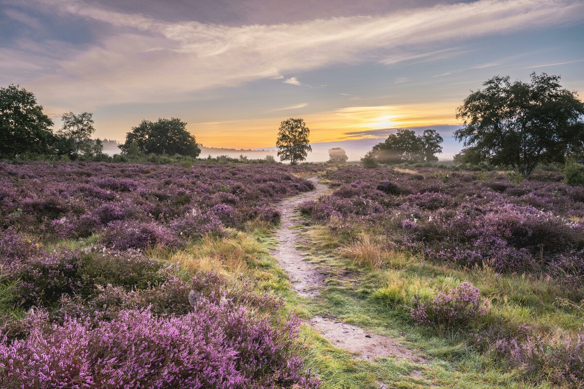 Natuurlijke gezondheid met aandacht voor lichaam en geest - CVIG